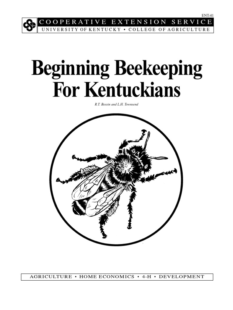 Beginners Guide Extremlym | PDF