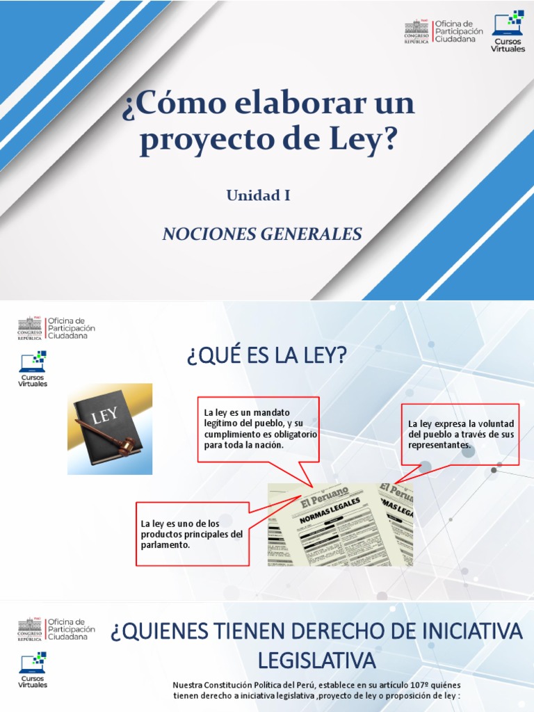 UNIDAD 1 Proyecto de Ley | PDF