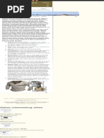 Slime Race (Homebrew, D&D 5e) - GM Binder | PDF | Self-Improvement