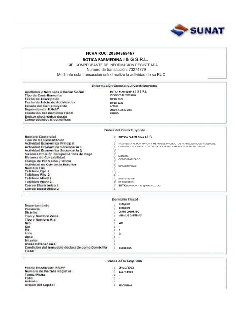 Ficha Ruc Boticaas | PDF