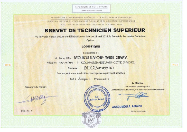 Diplome BTS - BEOUROU PDF | PDF