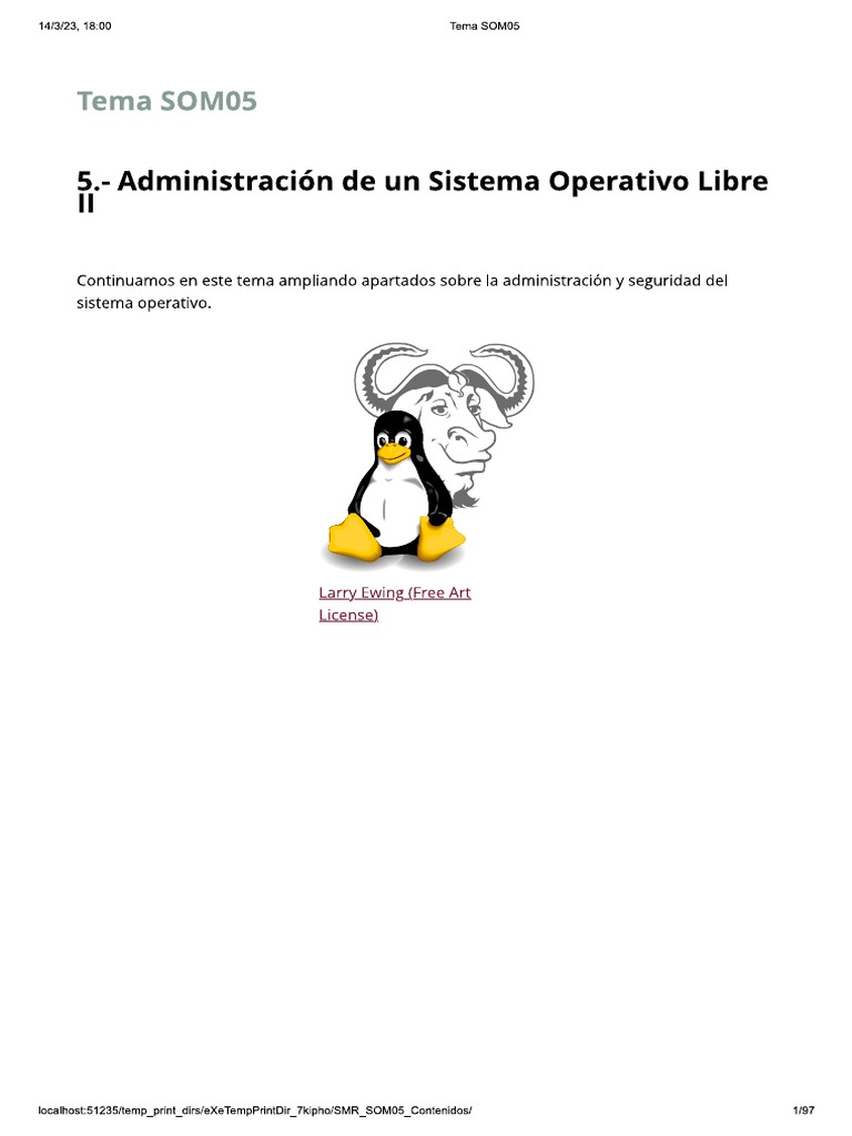 SOM UD5 Contenidos PDF | PDF