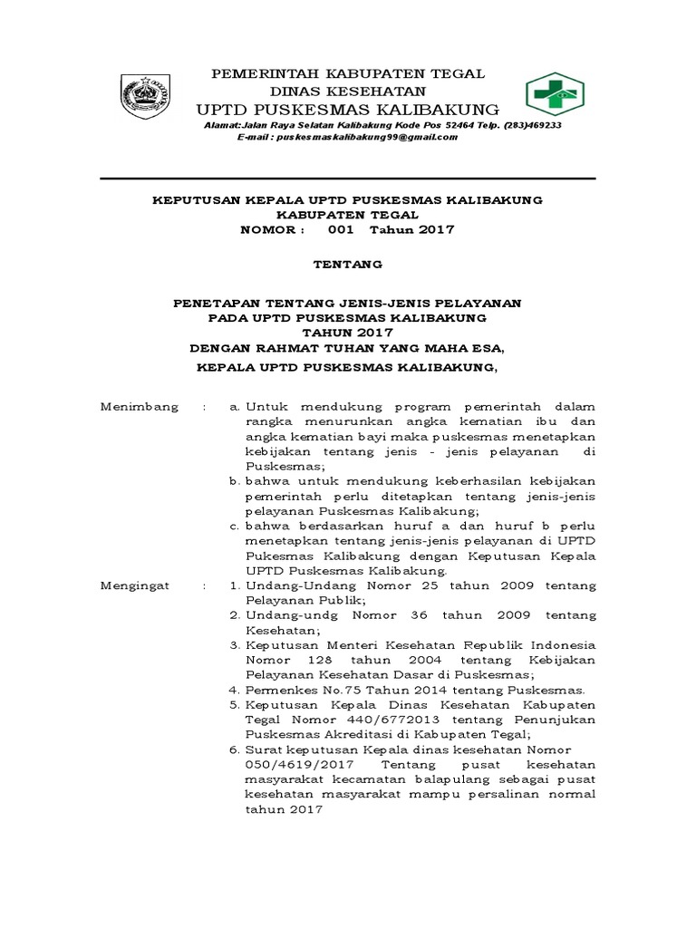 SK Jenis Jenis Pelayanan | PDF