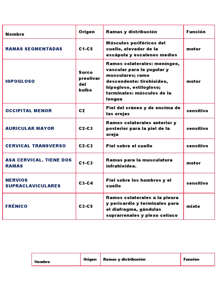 Plexos Nerviosos Pdf