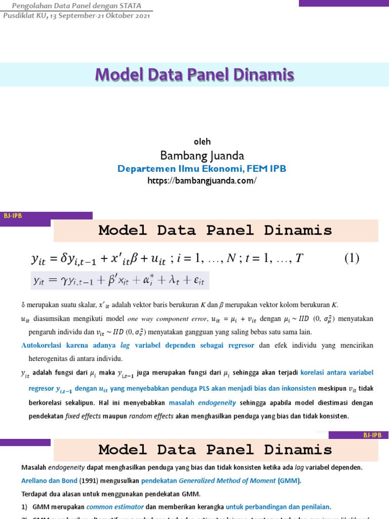 Model Data Panel Dinamis - BJ | PDF