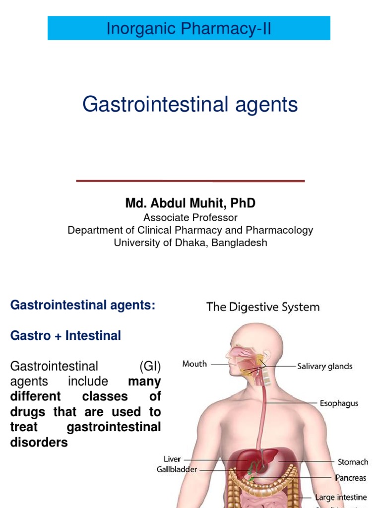 Gastrointestinal Agents: An In-Depth Look at Drugs that Treat GI ...