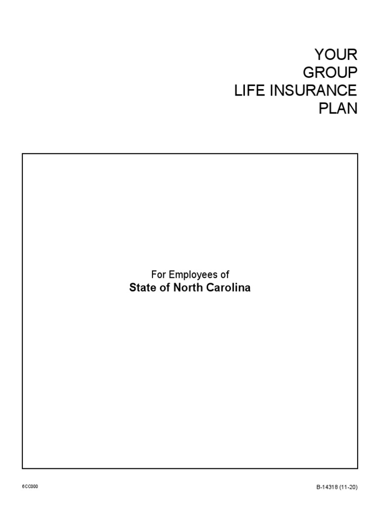 VOYA Term Life Certificate 11.20 PDF | PDF | Life Insurance | Insurance