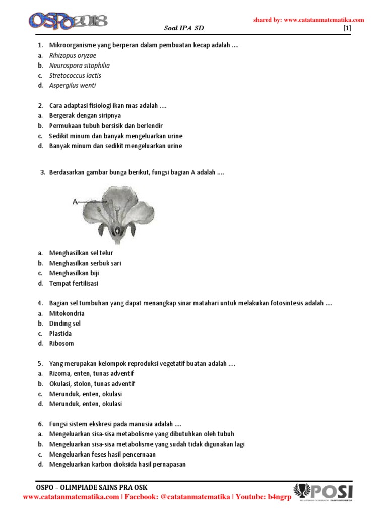 Ospo 2018 - Soal - SD Ipa | PDF