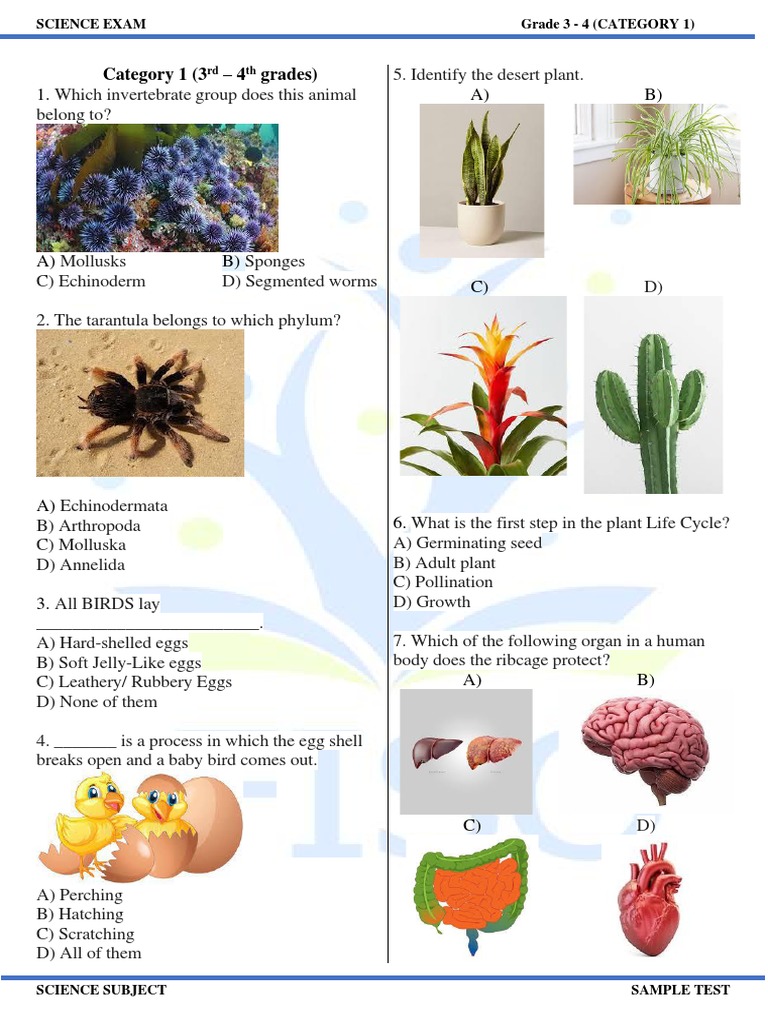 Grade 3-4 Science Exam Sample Test | PDF | Egg | Matter