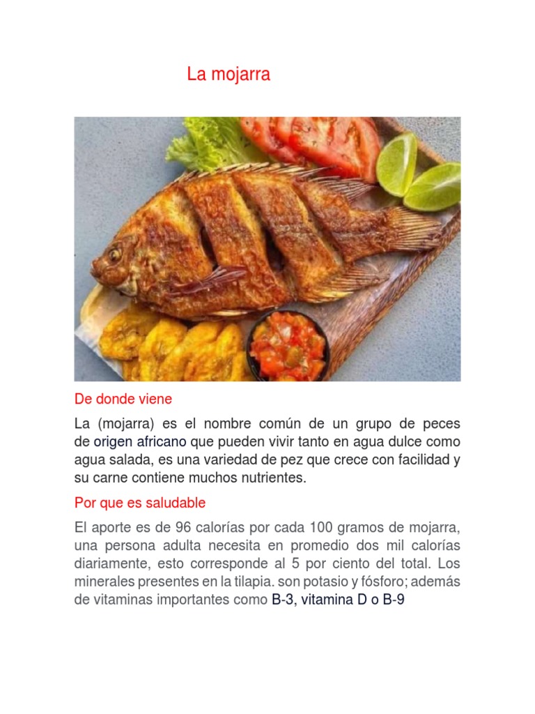 La Mojarra | PDF | Salud y bienestar | Tecnología