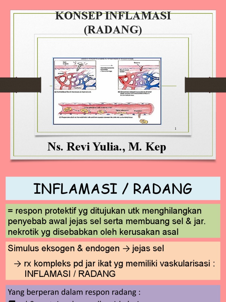 13konsep Inflamasi PPTX | PDF