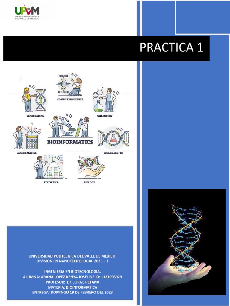 Practica 1 Bioinformatica | PDF | Messenger Rna | Genética