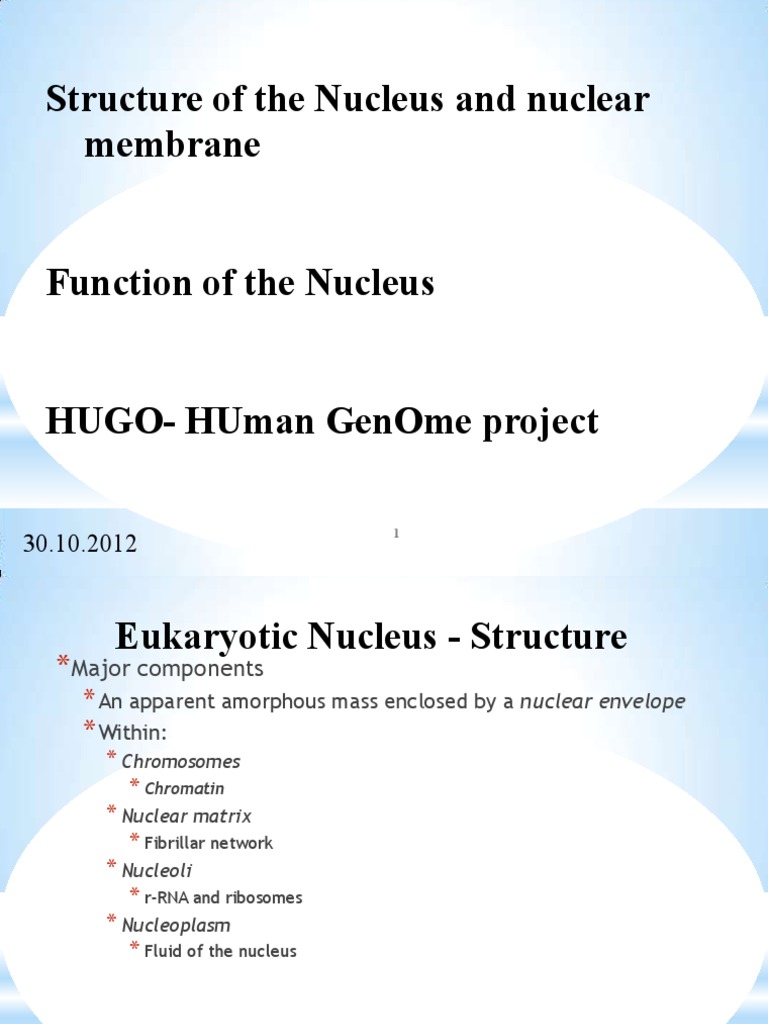 Nucleus - Structure and Function | PDF | Cell Nucleus | Gene Expression