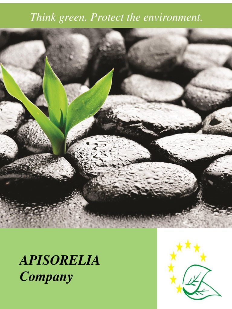 001-Company Profile Apisorelia - Word | PDF | Materials | Secondary ...