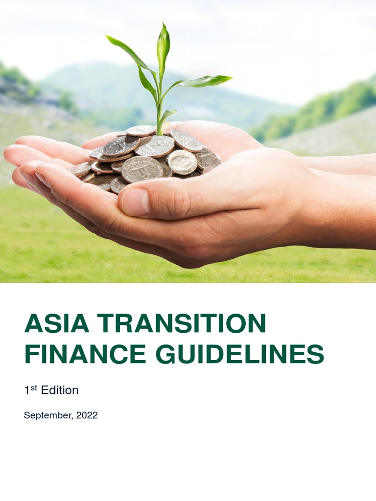 Asia Transition Finance Guidelines PDF | PDF | International Energy ...