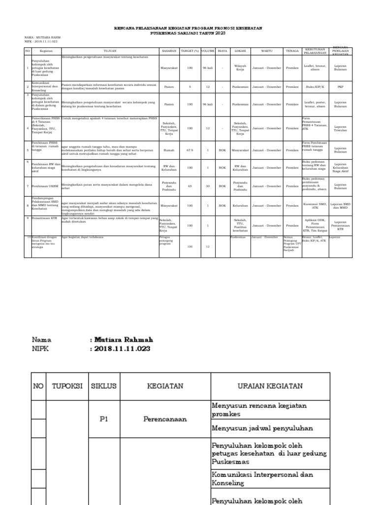RPK POA dan Hasil kegiatan Promkes Tahun 2023 | PDF
