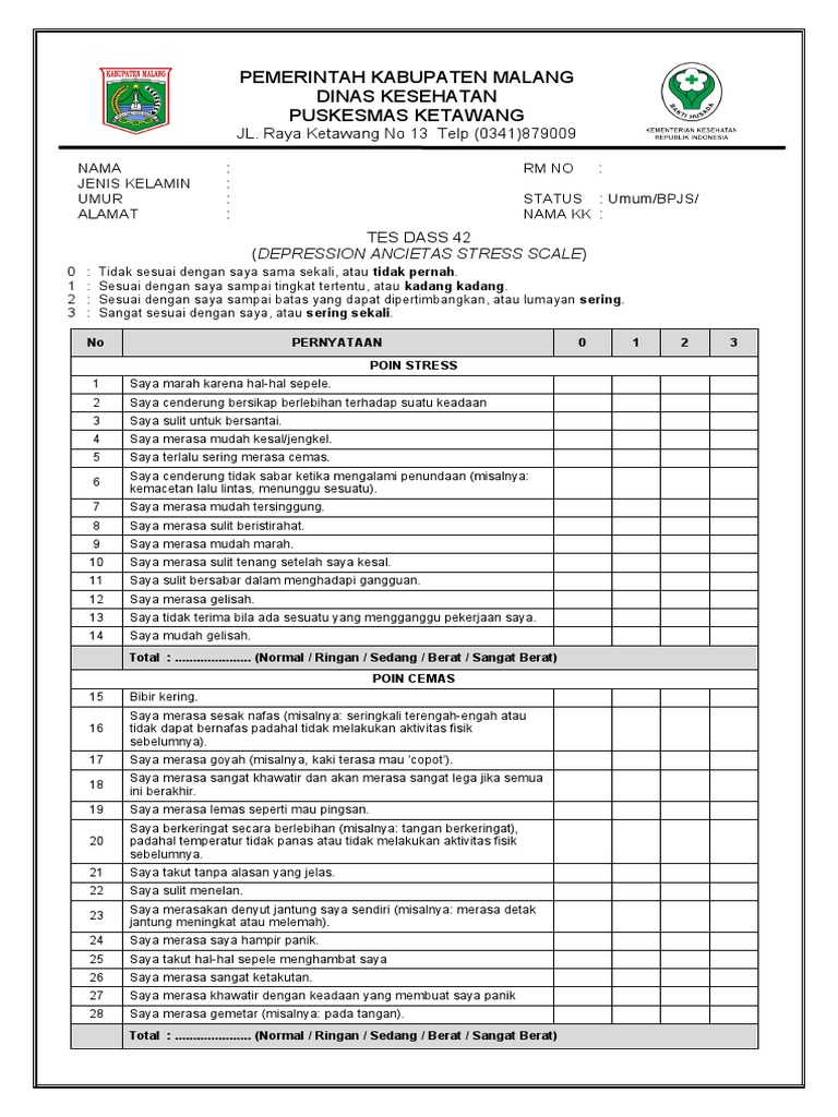 Tes Dass Fix 2 | PDF