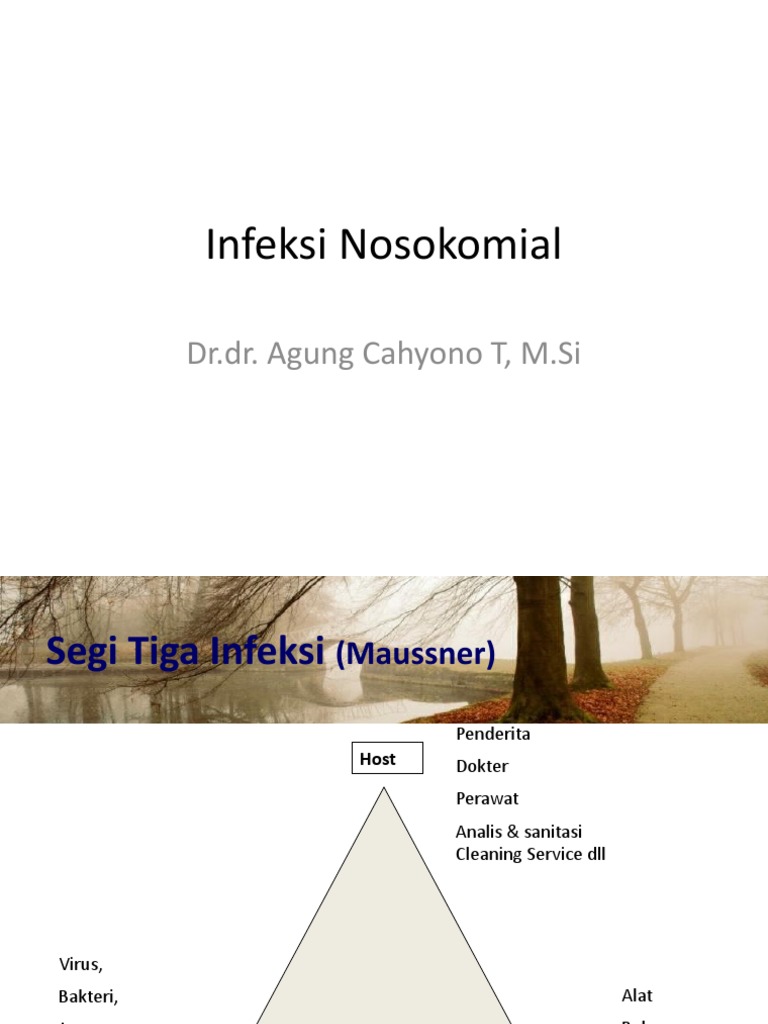 Infeksi Nosokomial | PDF
