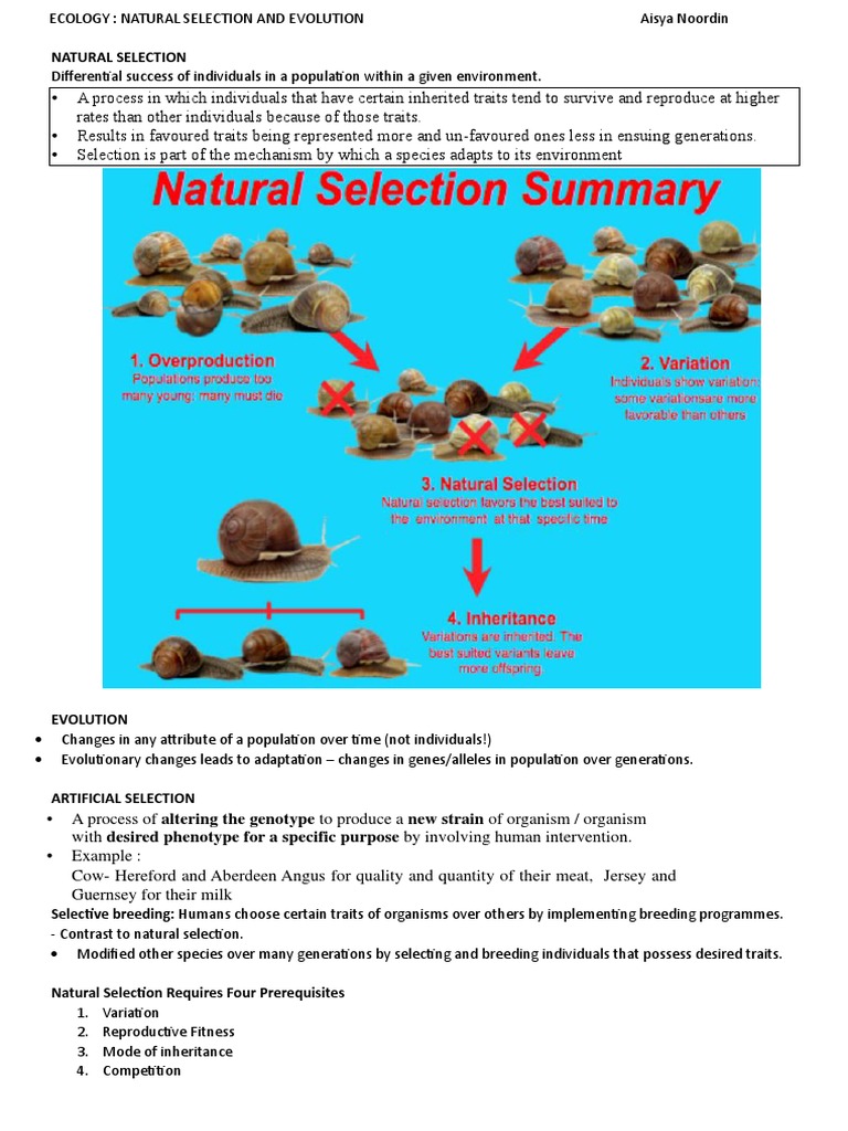 Selection Bio464 Ecology Notes | PDF