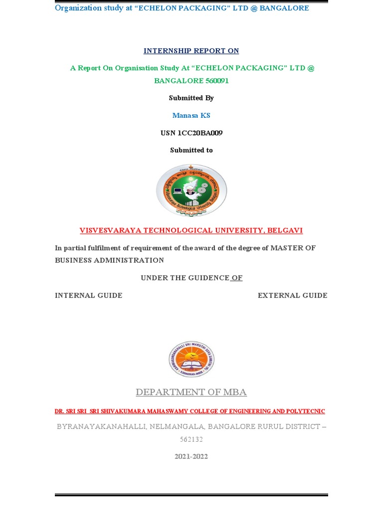 Manasa Internship Report | PDF