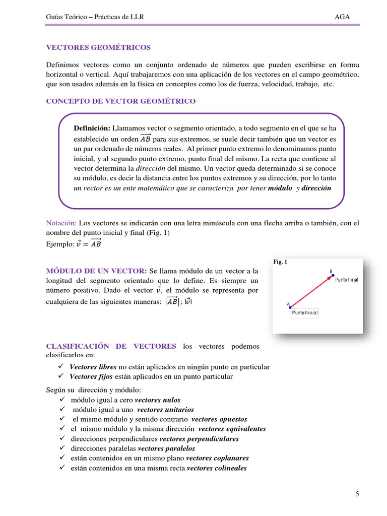 Vectores en R2 de LLR.pdf | PDF