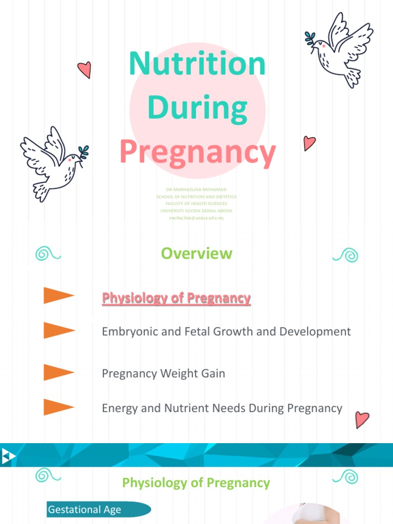 3 - Nutrition During Pregnancy | PDF | Fetus | Pregnancy