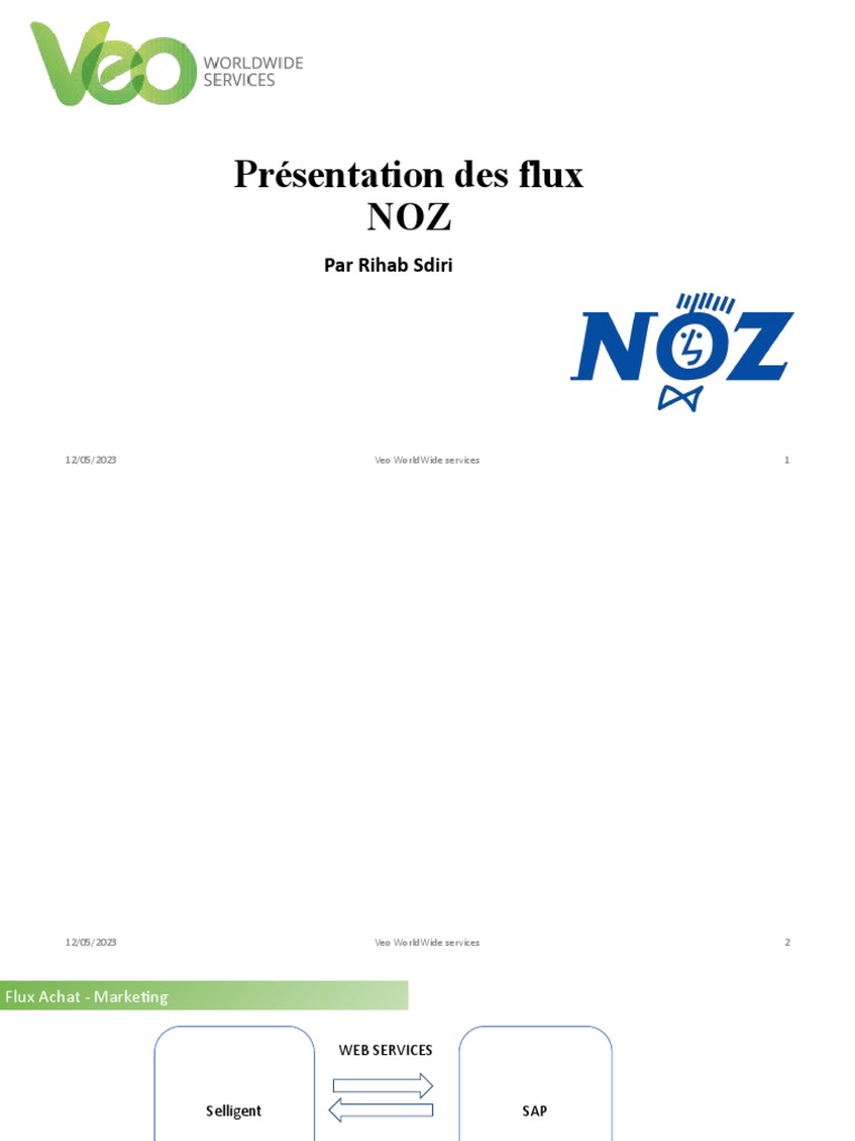 Présentation Des Flux NOZ | PDF
