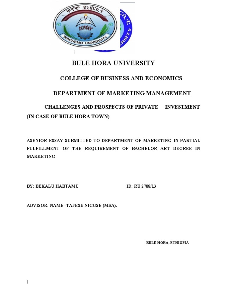 Private Investment Challenges and Prospects in Bule Hora Town | PDF | Economic Growth | Logistic ...