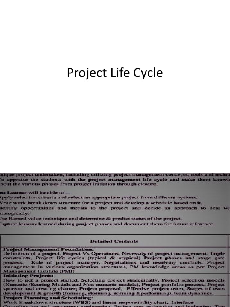 Project Life Cycle | PDF | Project Management | Business