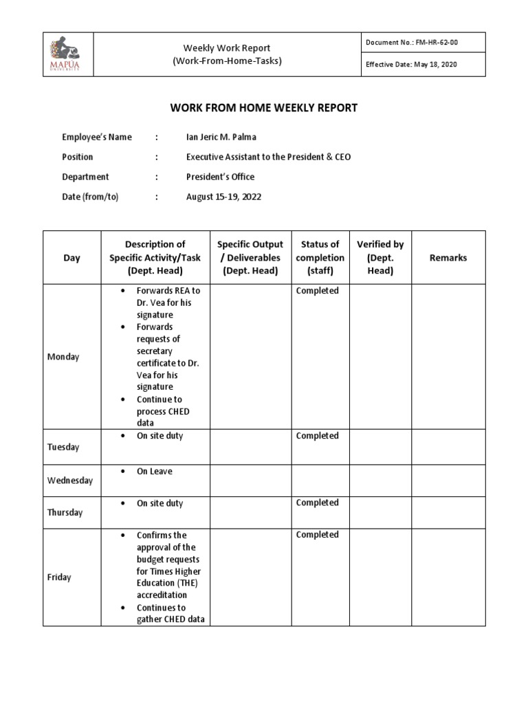 Weekly Work Report: WFH Tasks Summary | PDF