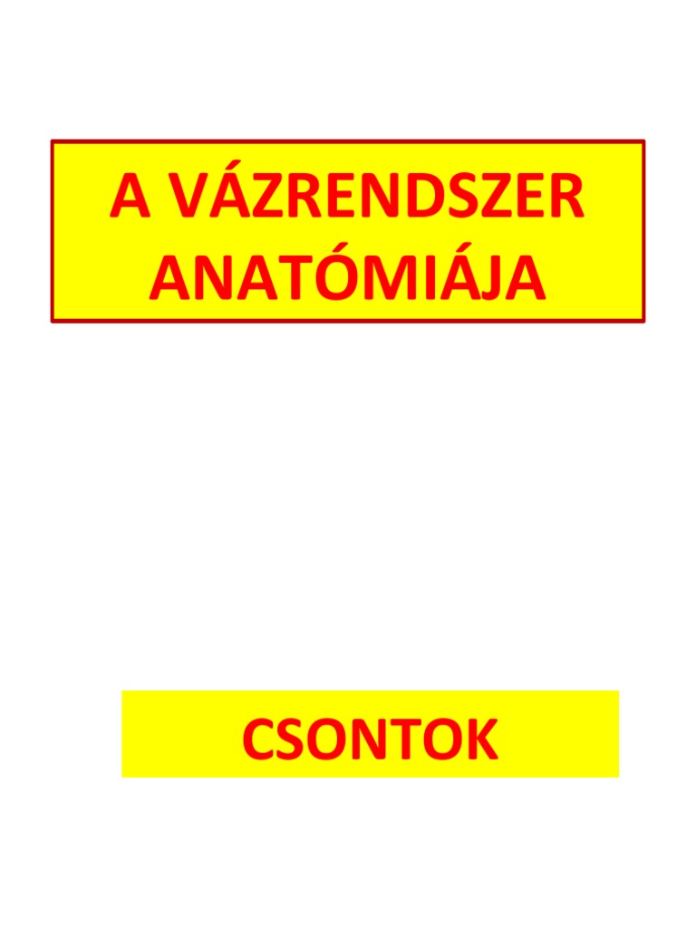 A Vázrendszer Anatómiája | PDF | Anatomy | Morphology (Biology)