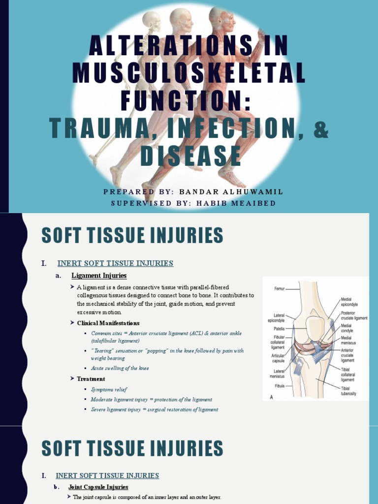 Alterations in Musculoskeletal | PDF | Osteoporosis | Bone