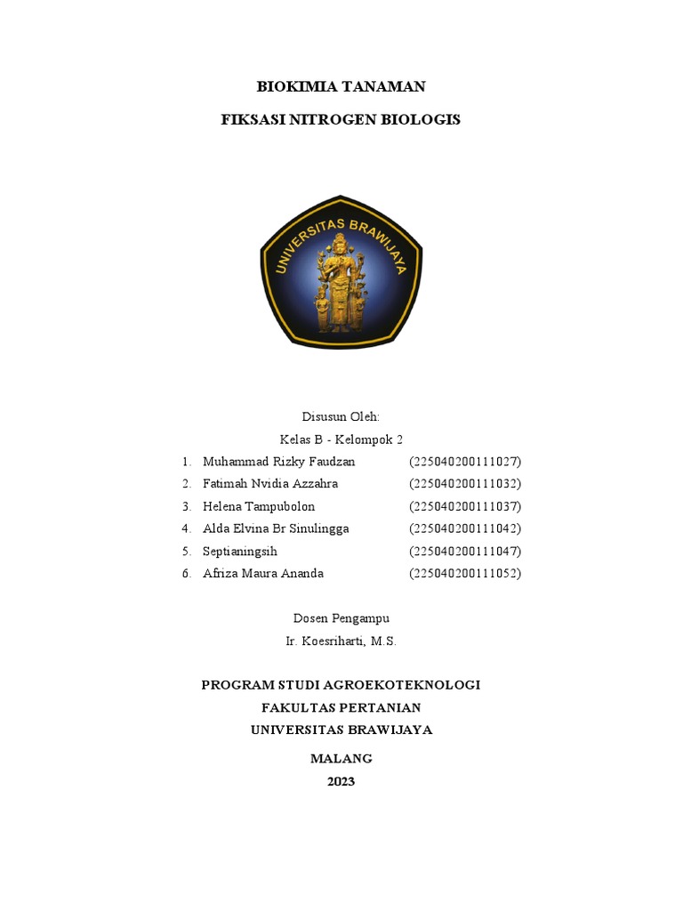 Fiksasi Nitrogen Biologis Kel 2 | PDF
