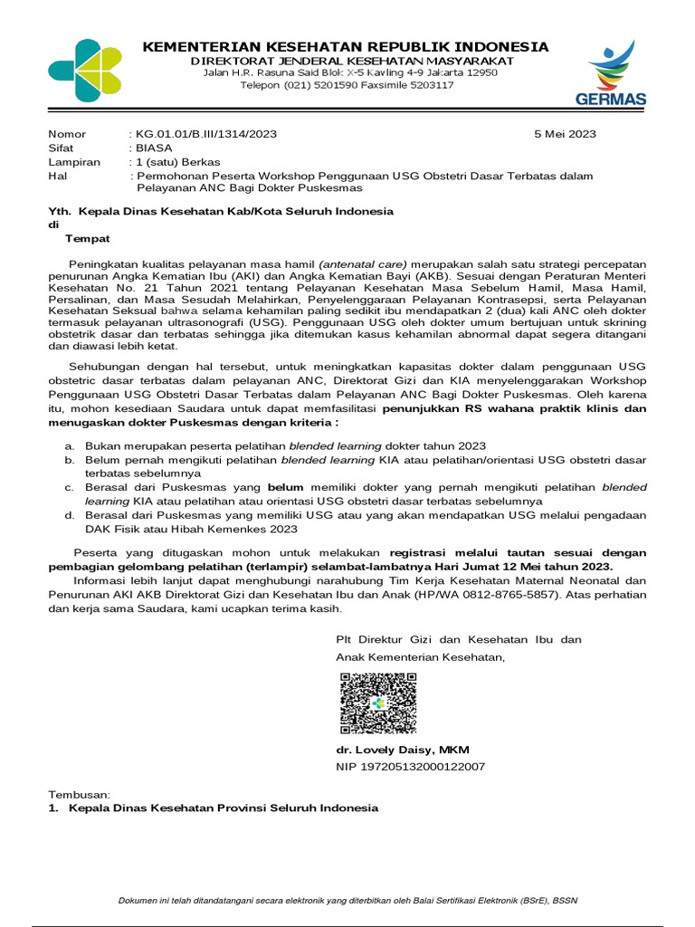 Workshop Penggunaan USG PDF | PDF