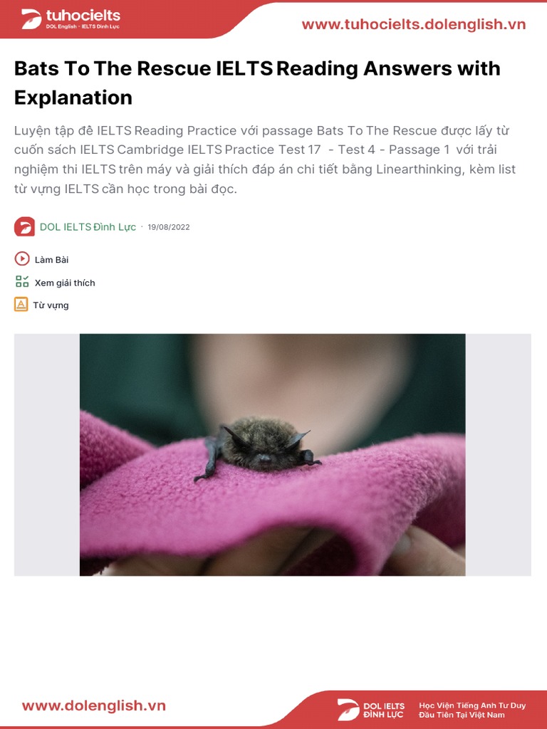 Bats To The Rescue | PDF