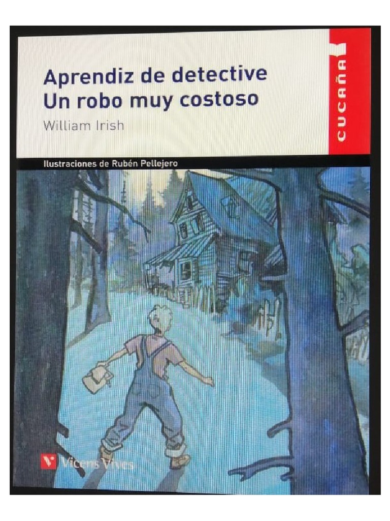 Aprendiz de Detective. Un Robo Muy Costoso. William Irish PDF | PDF