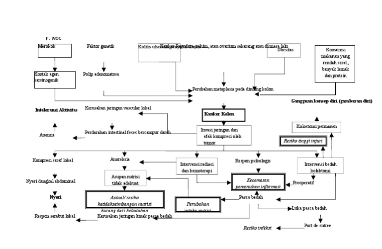 PDF Woc Ca Colon | PDF
