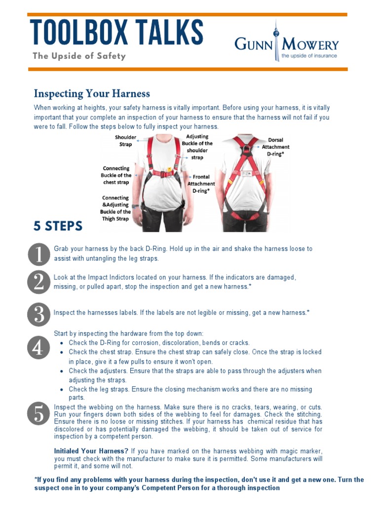 Harness Inspection Guidelines | PDF