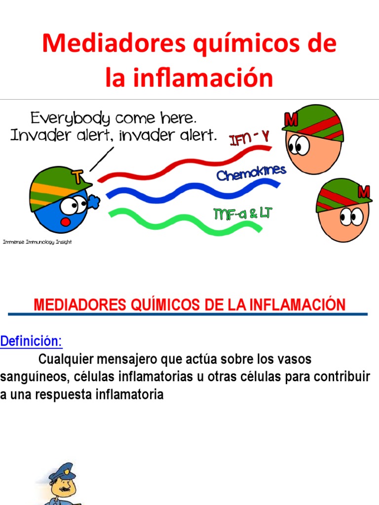 MEDIADORES INFLAMATORIOS | PDF | Inflamación | Sistema complementario