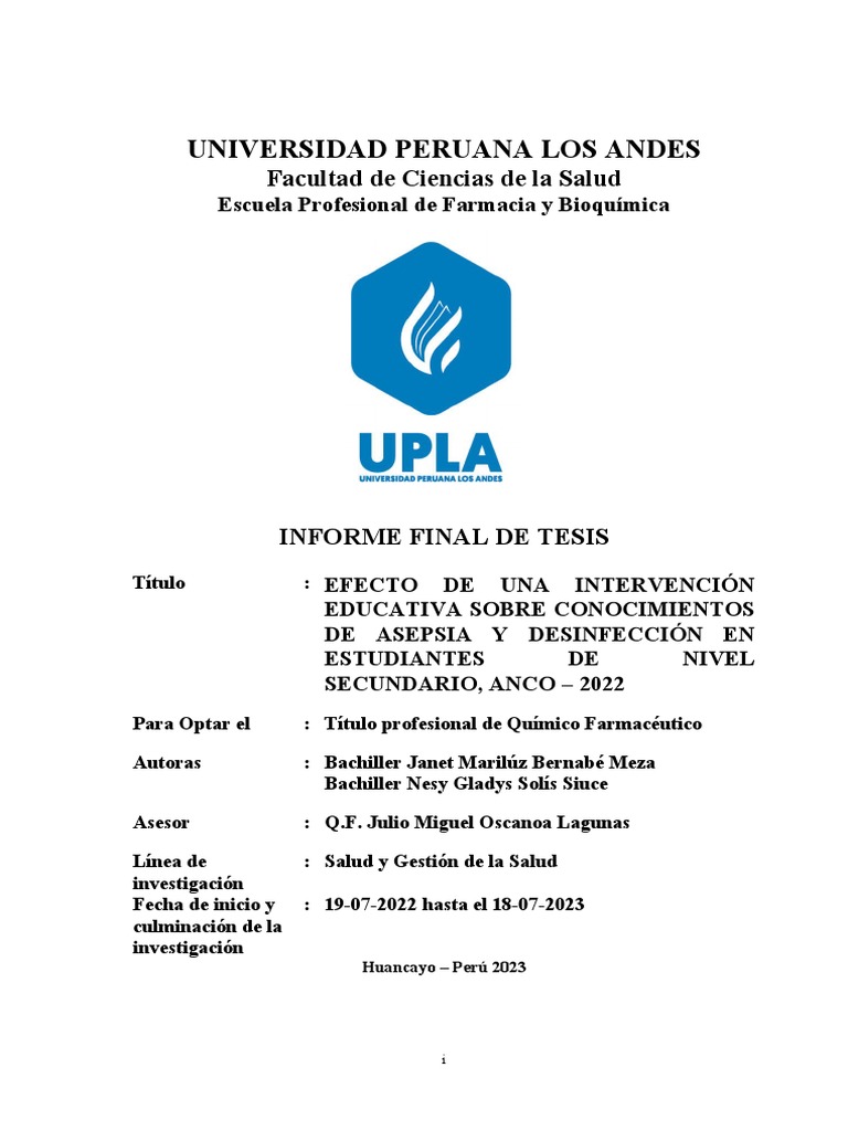 Informe Final de Tesis Solis Siuce Nesy Gladys y Bernabé Meza Janet ...