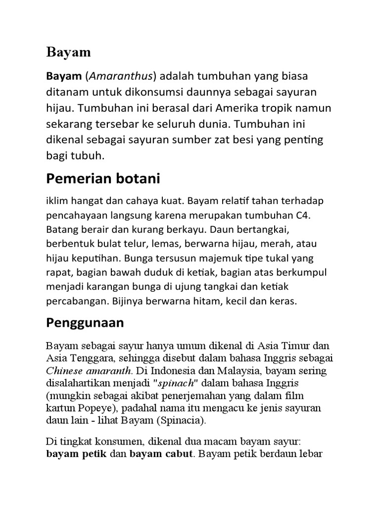 Bayam | PDF