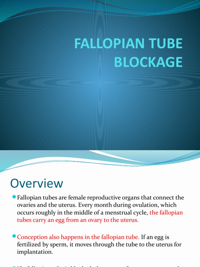 Fallopian Tube Blockage | PDF | Uterus | Mammal Reproductive System