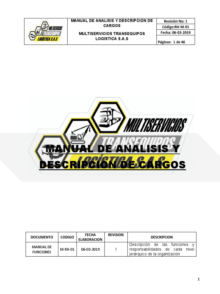 Manual de Funciones Multiservicios | Descargar gratis PDF | Logística | Auditoría