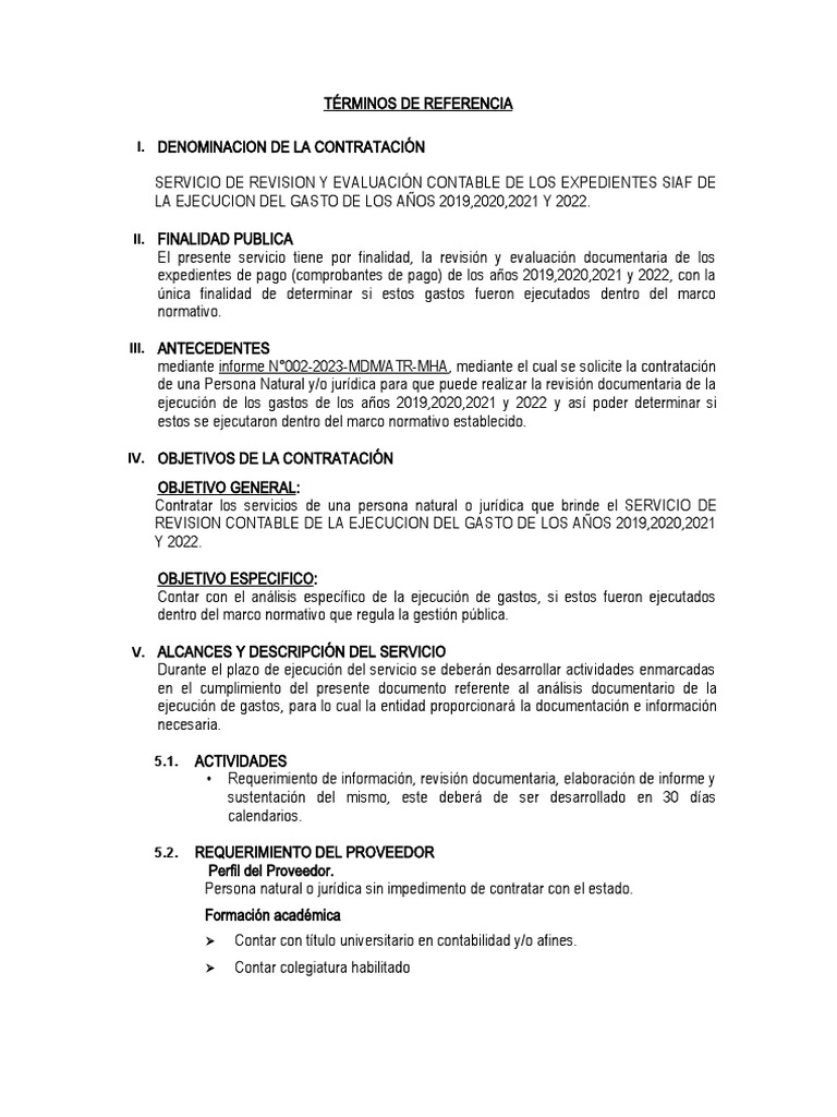 TDR Revision Documentaria | PDF