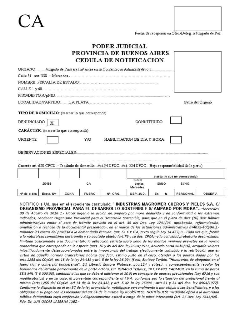 Notificación de Amparo por Mora | PDF | Gobierno | Justicia