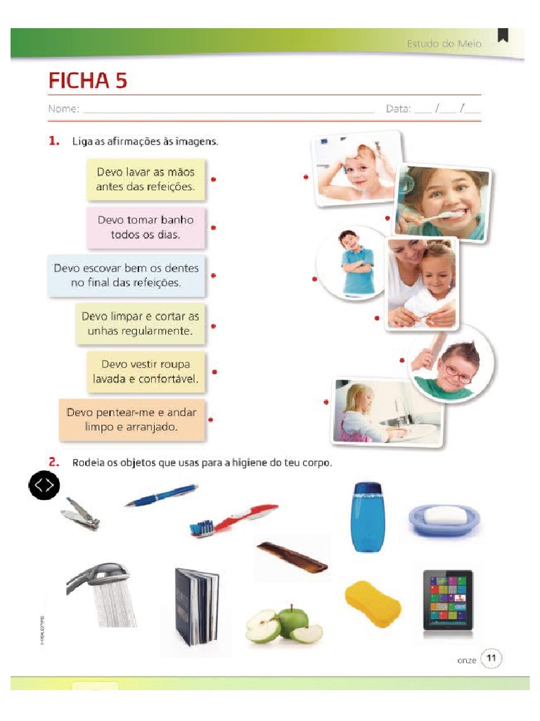 Estudo Do Meio 1º Ano | PDF