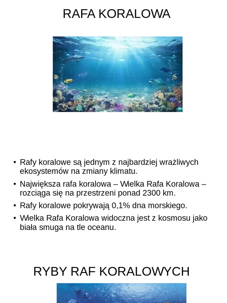 Rafa Koralowa - Odp | PDF