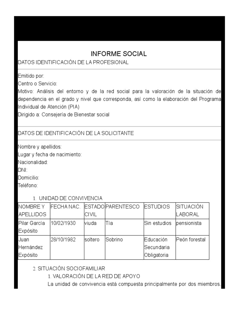 Modelo Informe Social | PDF
