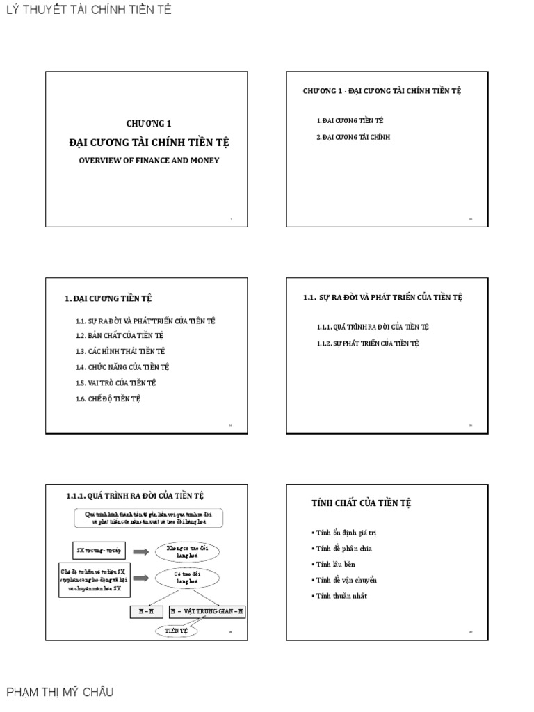 Chuong 1 Dai Cuong Tai Chinh Tien Te | PDF