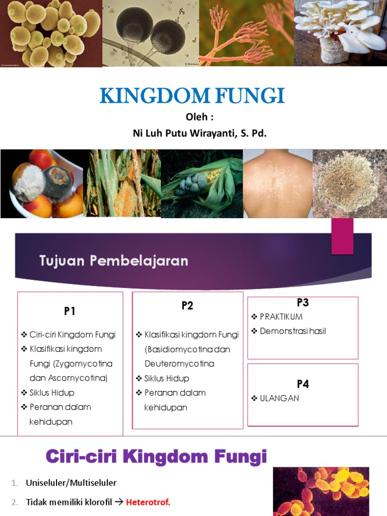 Kingdom Fungi | PDF | Sains & Matematika